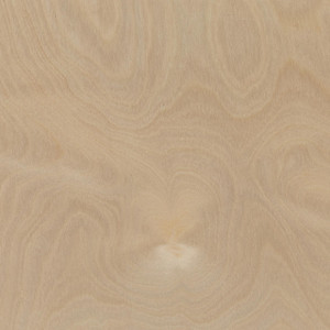 EMMA + OLIVER Wooden 5 Section School Classroom Storage Cabinet for Commercial or Home Use