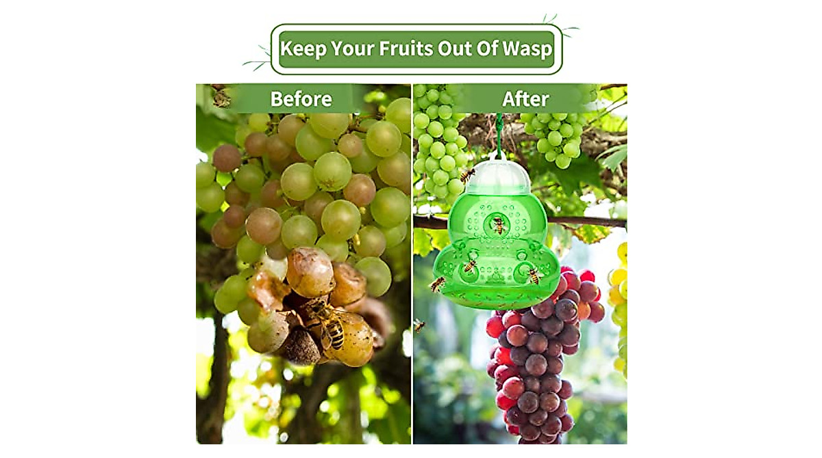 Effective Wasp Traps - Eco-Friendly & Reusable Solutions