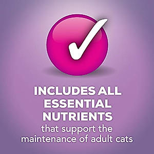 Purina Friskies Gravy Pate Wet Cat Food, Extra Gravy Pate With Turkey in Savory Gravy - (24) 5.5 oz. Cans