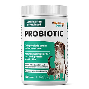 Wellnergy Daily Probiotic & Prebiotics Soft Chew for Dogs & Cats - Digestive Support for Diarrhea, Constipation, Upset Stomach, Indigestion & Gas - Helps Digestion, Allergy Skin & Immune Health 160ct