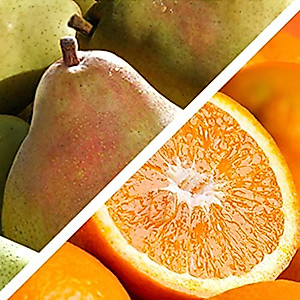 Golden State Fruit Golden State Signature Fruit Gift Collection