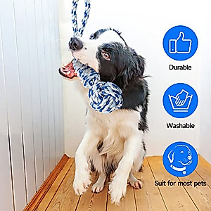 QINGFANGLI Spring Pole Dog Rope Outdoor Tug of War Toy for Pitbull Medium to Large Dogs Bungee Hanging Exercise Ropes Muscle Builder Interactive Toys (Dog Rope Toys)