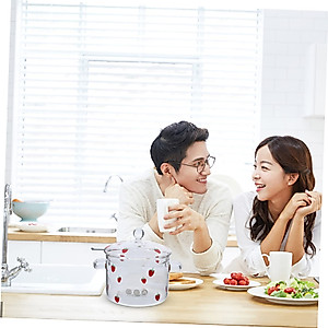 PRETYZOOM Soup Pot Stew Pots with Lids Sauce Pot with Lid Simmer Pot Sauce Pan with Lid Stew Pot - Stockpot with Lid Clear Pans with Lids Saucepan with Lid Stove Glass Household