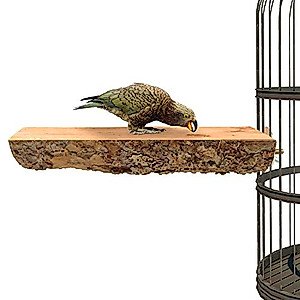 3 Pack Apple Wood Bird Perch for Cage, Natural Wooden Parrot Perch Stand Platform Exercise Climbing Paw Grinding Toy Playground Accessories for Parakeet, Conure, Cockatiel, Budgie, Lovebirds (H01)