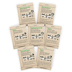 Culinary Herb Seeds for Planting Variety 7 Pack — Includes Basil, Parsley, Thyme, Oregano, Cilantro, Chives, Dill Seeds for Planting — Herb Garden Starter Kit — Herb Garden Seeds, Non GMO