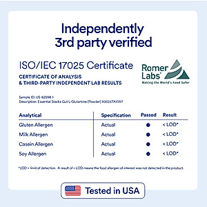Essential Stacks Gut L-Glutamine Powder - Made in USA - Pure L Glutamine Powder for Gut Health - Dairy, Soy & Gluten Free, Non-GMO, Vegan Glutamine Supplement