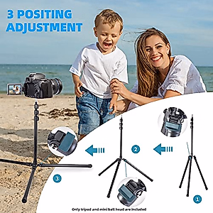 78.7 inch/7.2ft Adjustable Light Stand Tripod, Premium Aluminum Photography Tripod Stand with Ball Head, Compatible with Lights, Projector, Softbox, Cameras, Projector, Relfectors, Umbrellas