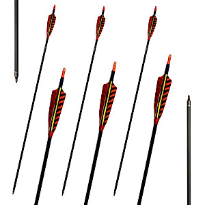 Letszhu Hunting Archery Carbon Arrow, Target Practice Arrow 500 Spine Fletched 4 inch Real Feathers with Field Points for Compound Recurve Longbow (Pack of 6) (29 inch)