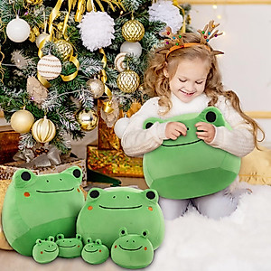 KWQBWQF Cute 3D Green Frog Plush Pillow Toy 12 Inch, Cool Chubby Frog Plushie Room Decor, Soft Stuffed Animals Toy Hugging Plush Gift for Kids