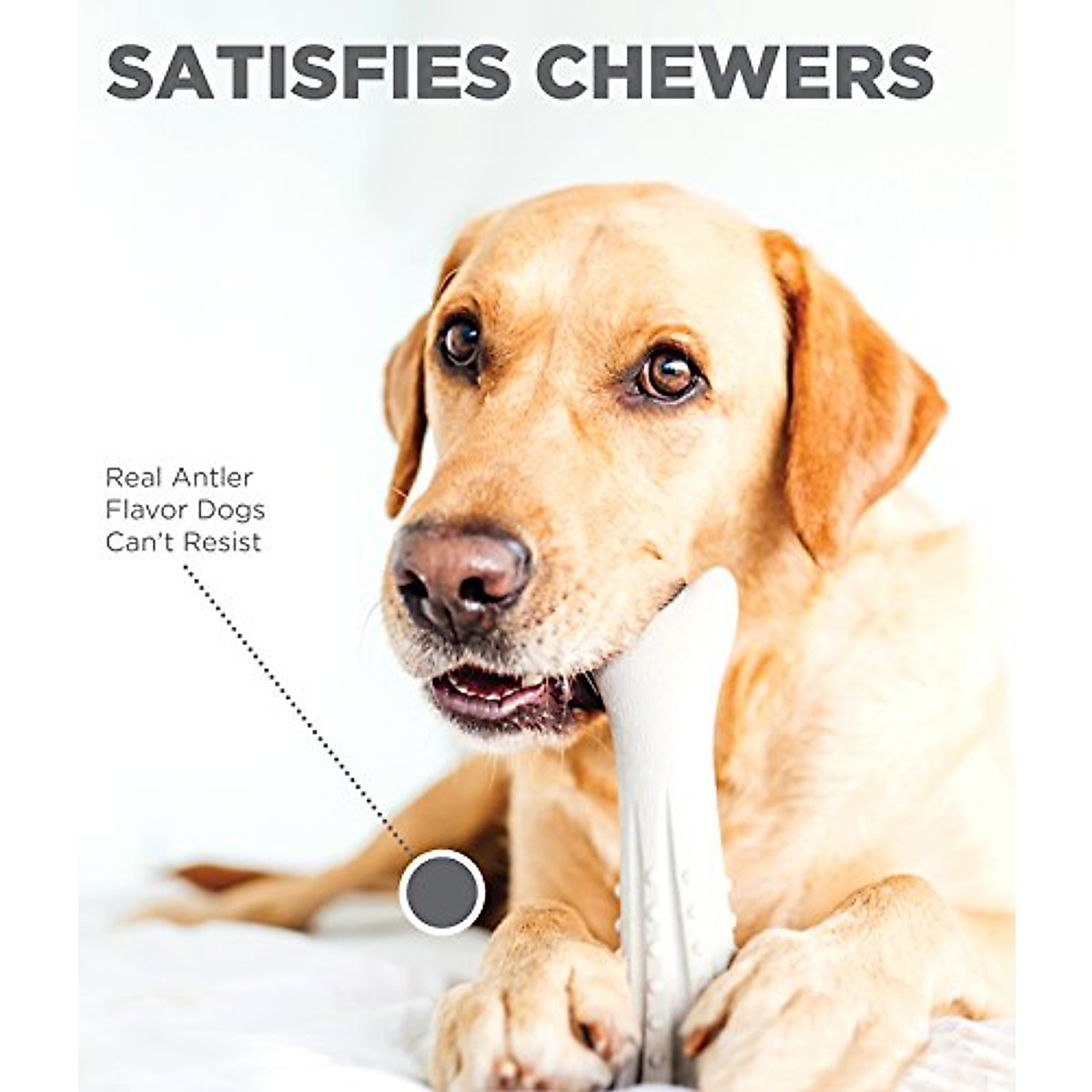 Petstages Deerhorn Antler Alternative Dog Chew Toy, Large