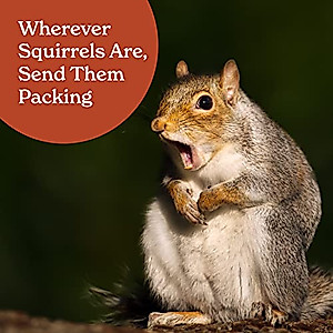 Vine Homecare - Squirrel Control Spray - Natural, Non-Toxic Squirrel Repellent - Quick, Easy Pest Control - Safe for Use Around Children and Pets - Made with Essential Oils - 32 OZ