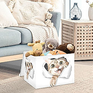 RunningBear Cartoon Cute Cat Large Storage Bins with Lid Collapsible Storage Bin Shelves Basket Clothes Toys Bin for Home Toys Clothes
