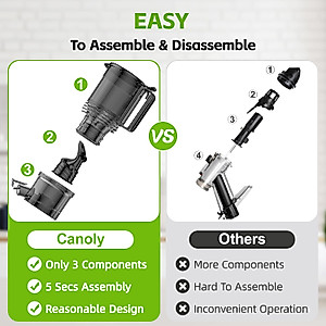 Cold Press Juicer, 5.4" Extra Large Feed Chute Fit Whole Fruits & Vegetables, 350W Professional Slow Masticating Juicer Machines, Easy to Clean