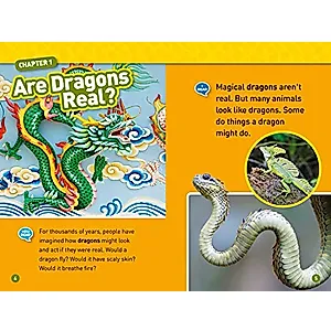 Real Dragons! (National Geographic Kids Readers, Level 1/Co-Reader)