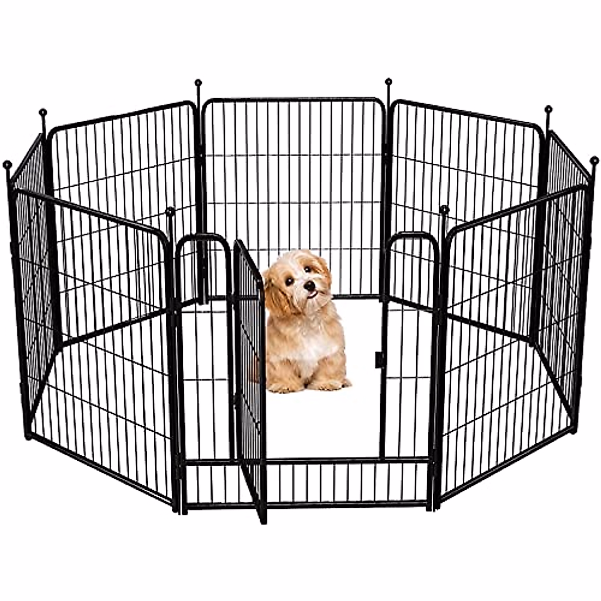 FXW Rollick Dog Playpen Designed for Camping, Yard, 32" Height for Small/Medium Dogs, 8 Panels