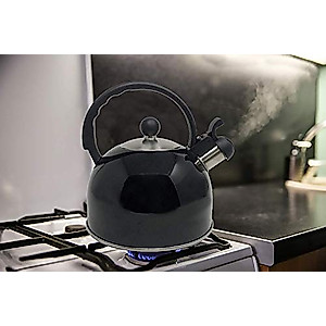2.5 Liter Whistling Tea Kettle - Modern Stainless Steel Whistling Tea Pot for Stovetop with Cool Grip Ergonomic Handle (Black)