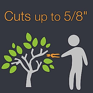 Sun Joe HJ604C 7.2-Volt 2-in-1 1250-RPM Cordless Grass Shear/Shrubber Handheld Trimmer, Rechargeable On-Board Lithium-Ion Battery and Charger Included & Fiskars Gardening Tools