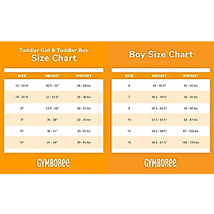 Gymboree Boys and Toddler Embroidered Graphic Long Sleeve Raglan T-Shirts, County Horse, 5T