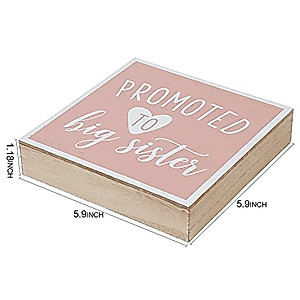 Hanna Roberts Toddler Kids Sibling Reveal Box Sign, 5.9" x 5.9" (Promoted to Big Sister)