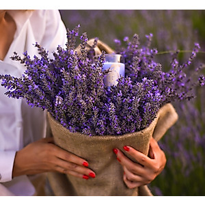 Organic Wild Lavender Candles | Scented Candles for Home | 6 oz 43 Hour Burn, Lavender Candle in Glass Jar