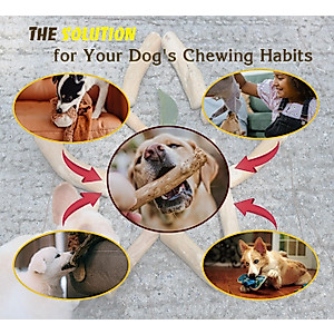 BENRIKIDS 2Pcs Size XL, Coffee Wood Dental Chew Stick & Tug for Dogs, Natural Dog Chew Toy Wood, Long Lasting and Stress Relief Dog Wood Chew Stick, 100% Natural, Safe and Healthy