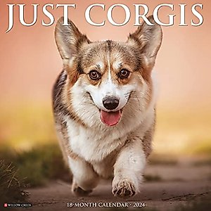 Willow Creek Press Corgis Monthly 2024 Wall Calendar (12" x 12")