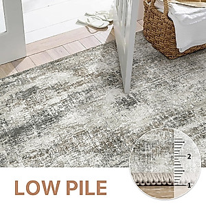GENIMO Washable Area Rugs for Living Room Bedroom, 8x10 Modern Abstract Non Slip Rug, Low Pile Soft Contemporary Indoor Floor Carpet Cover for Dinning Room Kitchen, Slate