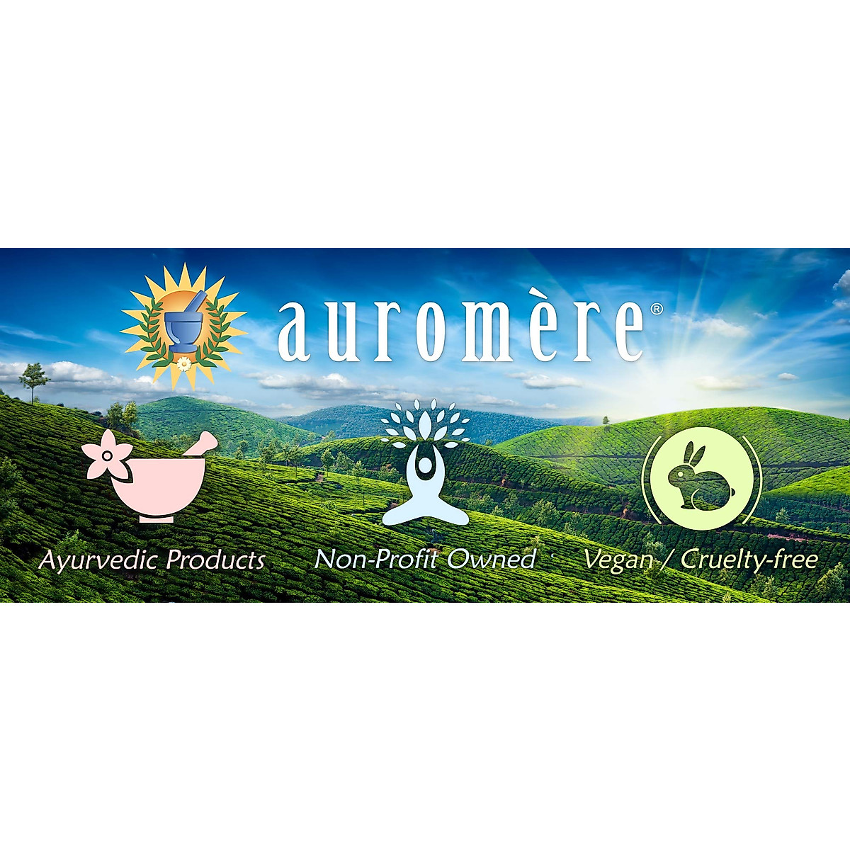 Auromere Ayurvedic Shampoo, Neem + 5 - Vegan, Cruelty Free, Non-GMO, Natural, Gluten Free, Sulfate Free, Paraben Free for Normal to Oily Hair (16 fl oz), 1 Pack