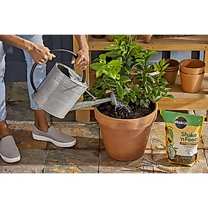 Miracle-Gro Shake 'n Feed Citrus, Avocado and Mango Plant Food 8 lbs.