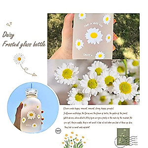 Cute Water Bottles Kawaii Aesthetic Water Bottles Milk Juice Daisy Glass Water Cup for Girls, Straw and 2 Lids, 16 oz (Four flower)