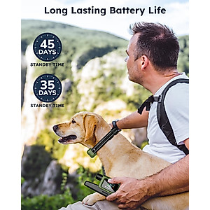 Jugbow Dog Shock Collar 2 Dogs (10-120Lbs) - 3300FT Dog Training Collar with Remote IPX7 Waterproof Electric Collar with 4 Training Modes, Security Lock, Rechargeable e-Collar for All Breeds, Sizes