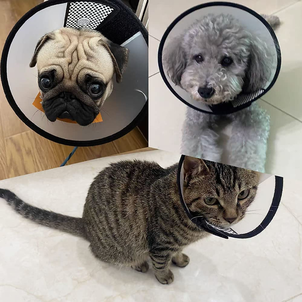 2 Pcs Cat Cone Dog Con,Adjustable Recovery Pet Cone,Fits Neck 7-11 inch Adjustable,Plastic Elizabethan Collar for Cats Kitten Small Dog After