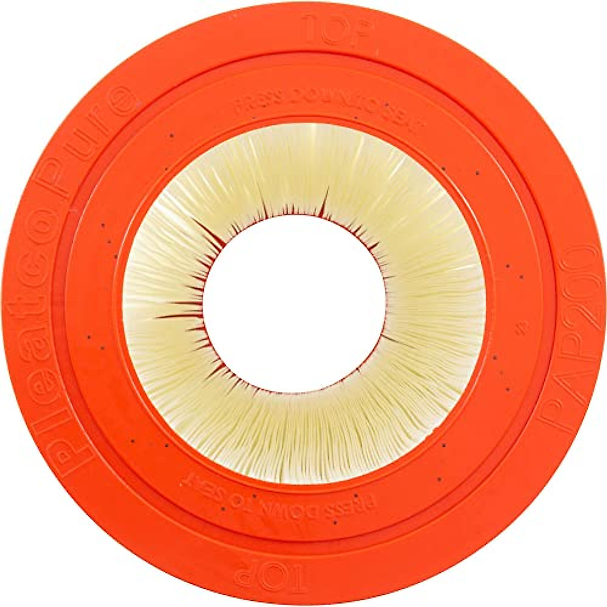 Pleatco PAP200-4 Replacement Cartridge for Predator 200 - Pentair Clean and Clear 200, 1 Cartridge