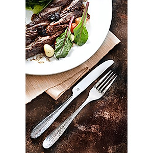 DANIALLI 60 Piece Silverware Set For 12, 18 10 Stainless Steel Silverware Set, Modern Fidenza Hammered Flatware Set, Knife/Fork/Spoon & Long Teaspoon/Salad Fork Mirror-Polished Dishwasher Safe Cutlery