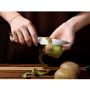 Kitory Paring Knife 4 inch Small Kitchen Knife Sharp Fruit Knife Peeling Knife, German High Carbon Steel, Ergonomic Pakkawood Handle, 2023 Gifts For Women and Men