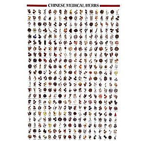 Chinese Acupuncture Herbal Poster Laminated 24 x 36 inches
