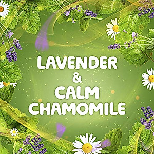 Gain with Essential Oils Liquid Laundry Detergent, The Serene Scent, Lavender & Calm Chamomile, Pack of 2, 42 fl oz Each