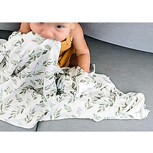 Large Premium Knit Baby Swaddle Receiving Blanket"Fern" by Copper Pearl