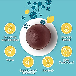 Hyland's Stress Busters, Calm Gummies Naturals with L-Theanine, Lemon Balm and Chamomile, 60 Vegan Gummies (2 Bottles of 60)