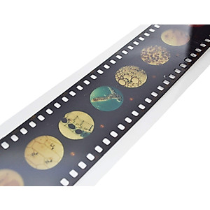EISCO 2 Piece Micro-Slide Viewer & Viewer Set - Includes One Economy Microscope & Slide Strip - Easy to Use - A Great Introduction Kit for Microscopy and at Home Learning