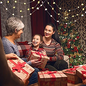 balacoo Fruit String Lights Battery Powered 3pcs Indoor Outdoor Lighting Lamp Lights LED Fairy Light for Christmas Wedding Home Birthday Garden Yard Patio Party Decor