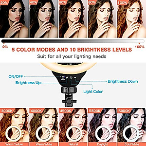 Aureday 12” LED Ring Light with Stand and Phone Holder, Video Light 3000K-6000K Dimmable Selfie Ringlight for YouTube Video/Live Stream/Makeup