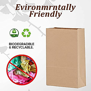 Paper Lunch Bags Brown Paper Lunch Bags Brown Paper Bags Bulk for Small Business (30 PIECE-4LB)