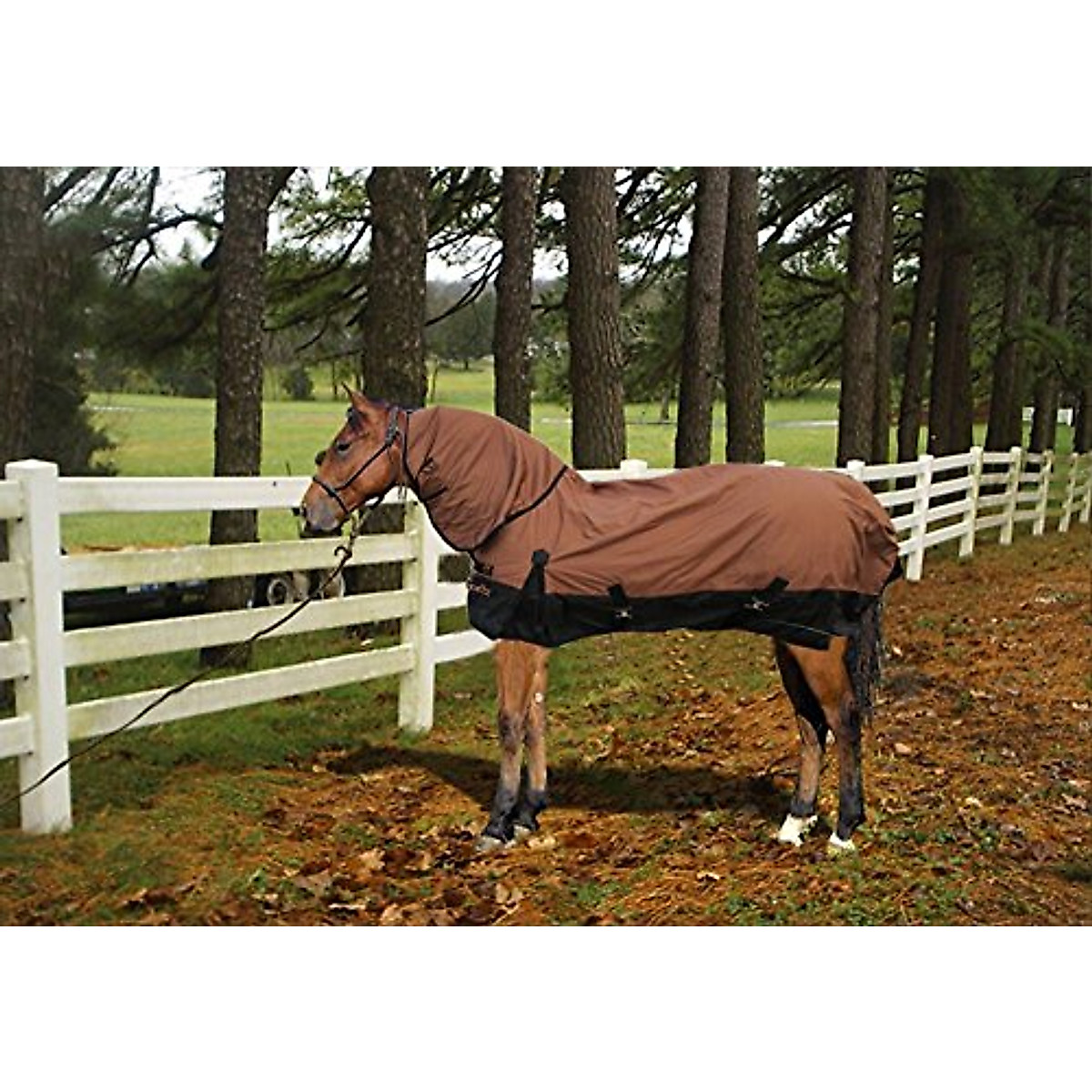 Turnout 1680D Horse Winter Waterproof with Neck Cover - Horse Blanket 003 - Size from 69" to 83" (78")