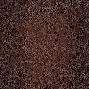 Hydeline Stanwood Top Grain Leather Sofa Couch, 89'', Caramel Brown