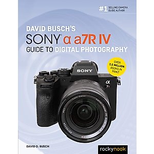 David Busch's Sony Alpha a7R IV Guide to Digital Photography (The David Busch Camera Guide Series)