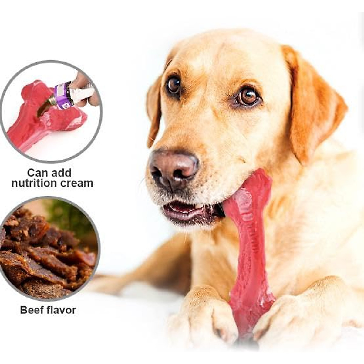 NEXA MALL-Dog Chews-Dog Chew Toys for Aggressive Chewers-Large Dog Chew Toys-Dog Bone Toy-Rubber Chew Toys for Dogs-Hard Rubber Dog Toys-Rubber Dog Bone. (Medium Size), red