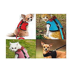 sonicbee Multipurpose Rabbits Hamster Vest Harness with Leash Bunny Mesh Chest Strap Harnesses Ferret Guinea Pig Small Animals Pet Accessories (L, Blue)