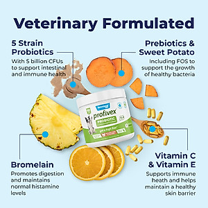 Vetnique Labs Profivex Probiotics for Dogs All Natural Dog Chews & Powder for Digestive Health Probiotic Supplements for Dogs 5 Strains of Probiotics & Prebiotics (Soft Chews, 60ct)