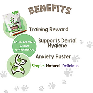 Nature Gnaws Thin Bully Sticks for Dogs 5-6" (1Lb) - Mixed Thickness - Long Lasting for Small Dogs and Puppies - Natural Thin Beef Dog Chew Bones - Rawhide Free